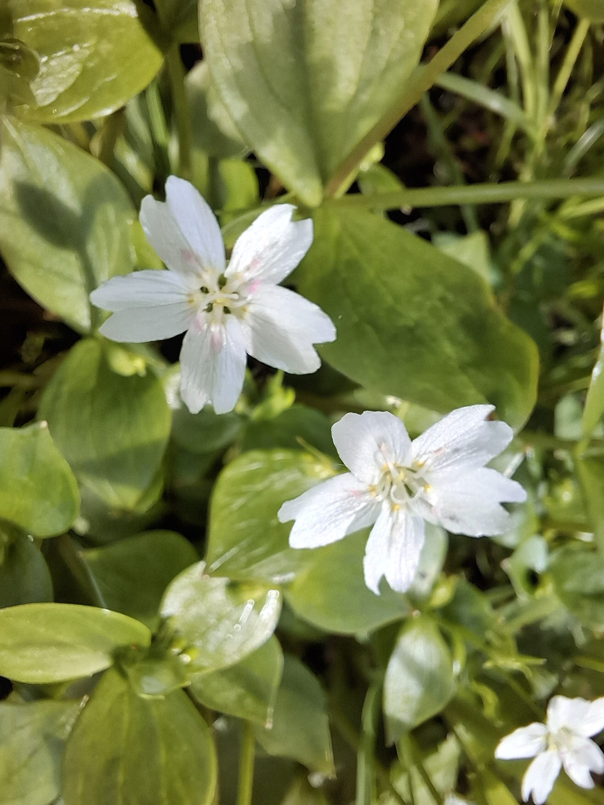 20250428_152901 – Haworth Art Gallery – Accrington